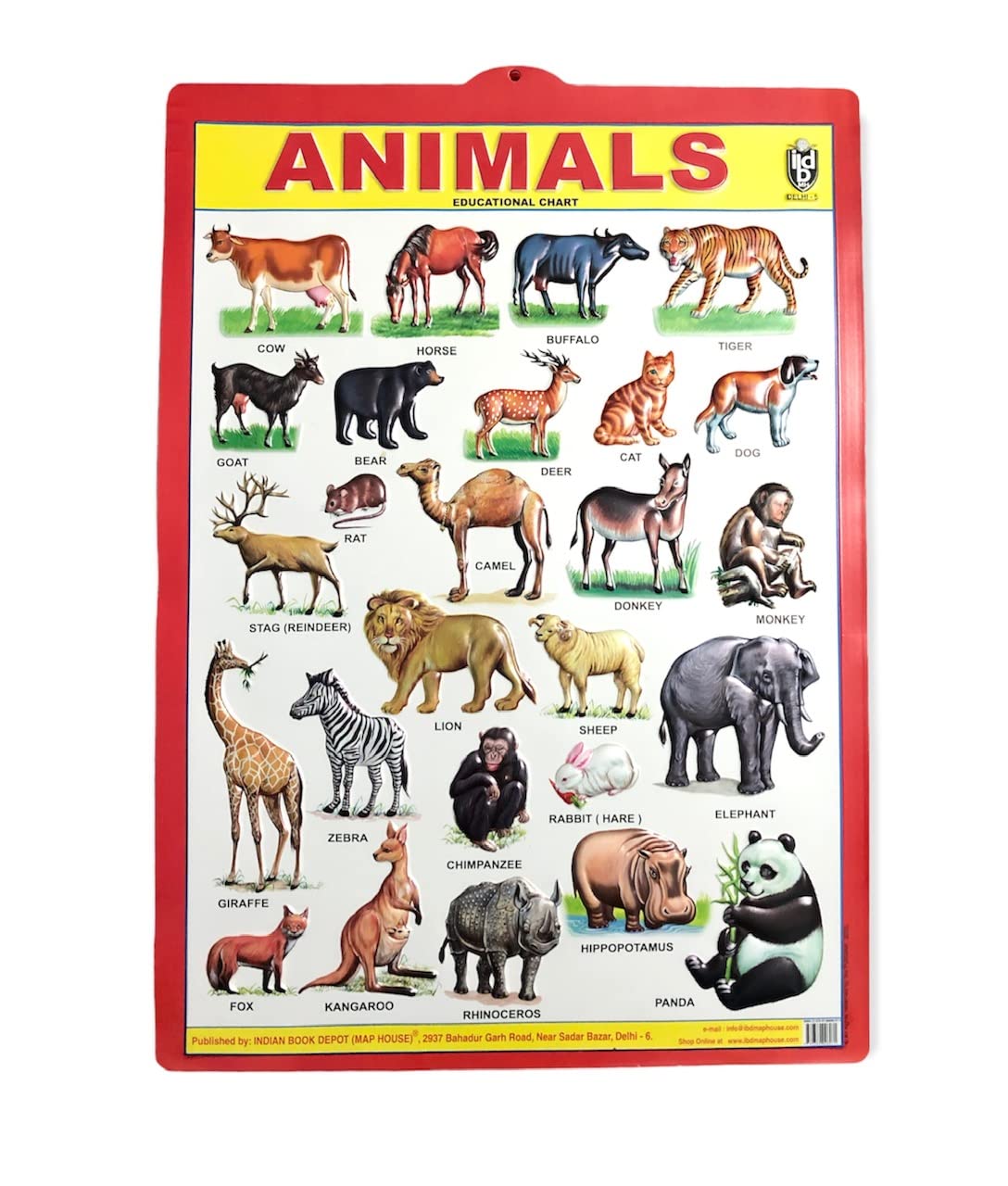 Animals Chart Early Learning Educational Plastic 3d Embossed Alphabets ...