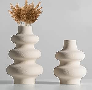 Amazon.com: GMFINE Ceramic Vases Set of 2, Modern Unique Matte Decorative Flower Vase for Home ...