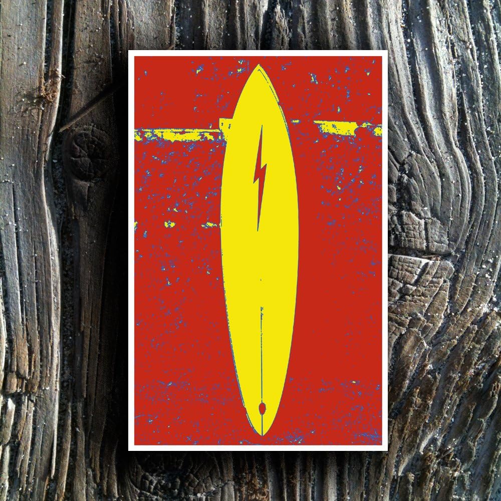 Amazon.com: Lightning Bolt Pintail 11x17 Poster Print: Home & Kitchen