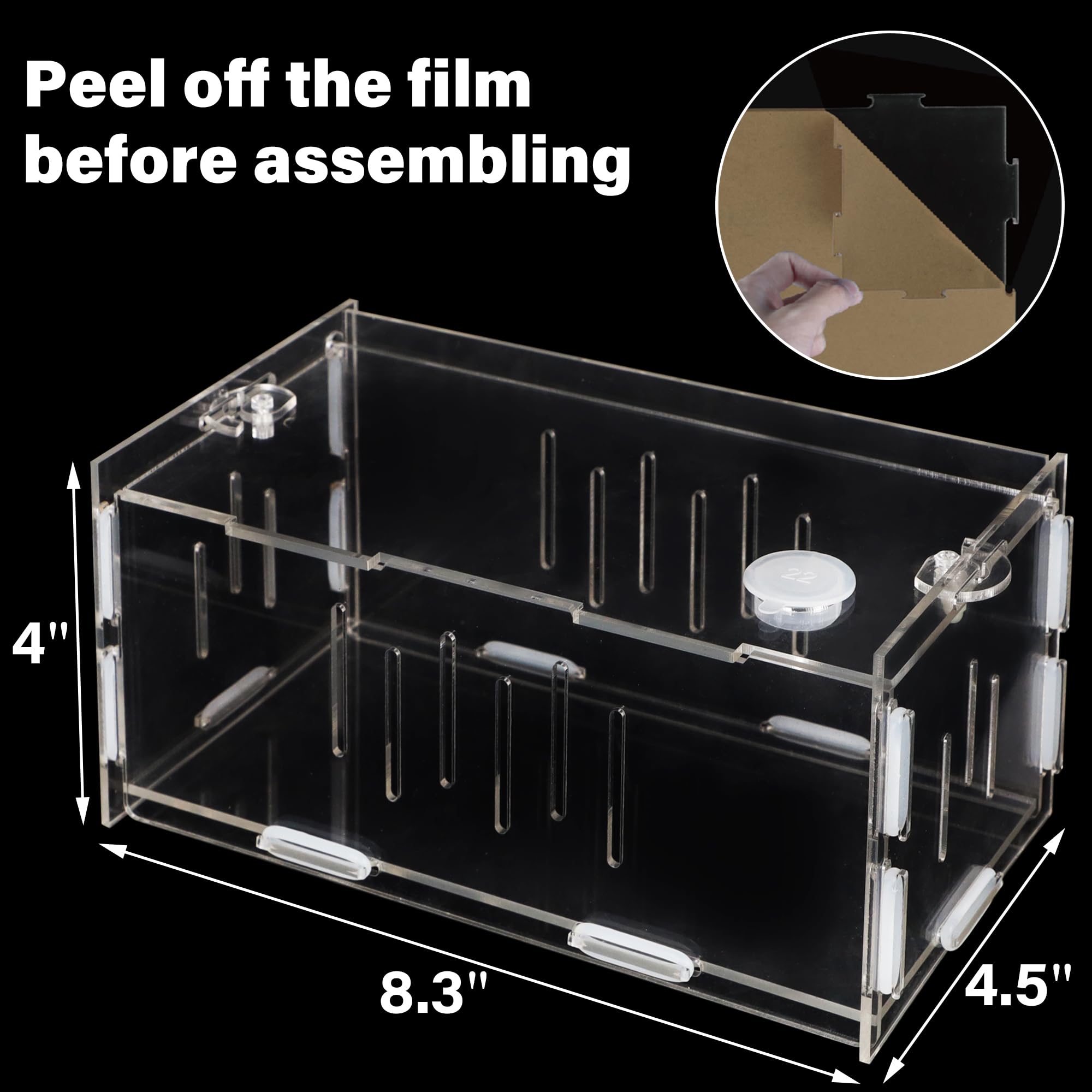 Snapklik.com : Winemana Small Reptile Jumping Spider Terrarium ...