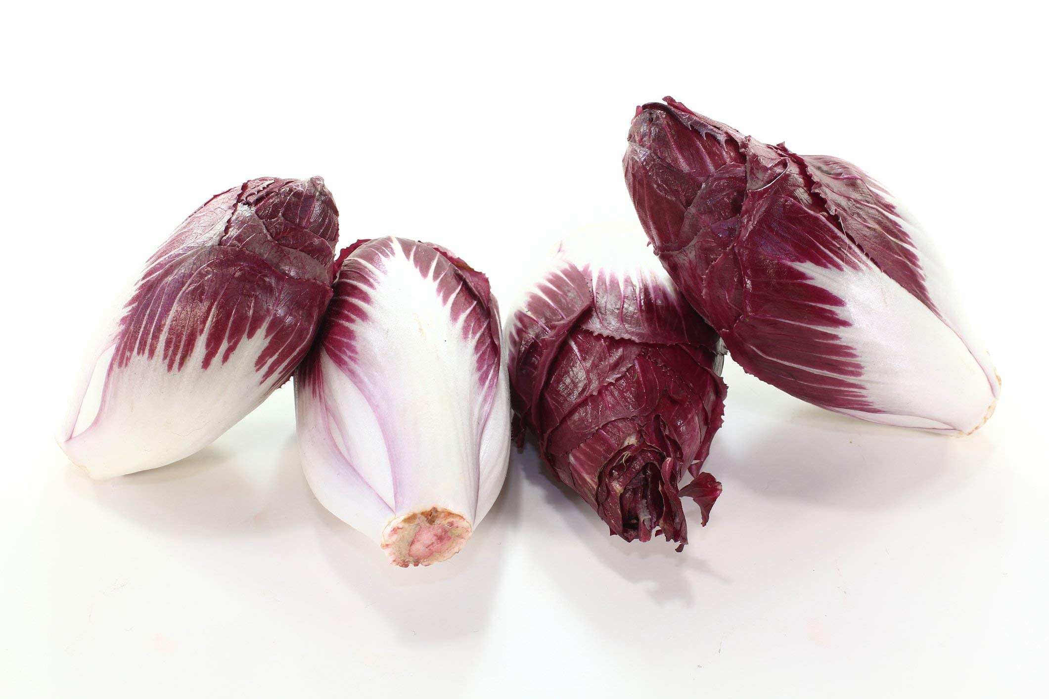 Red Belgian Endive