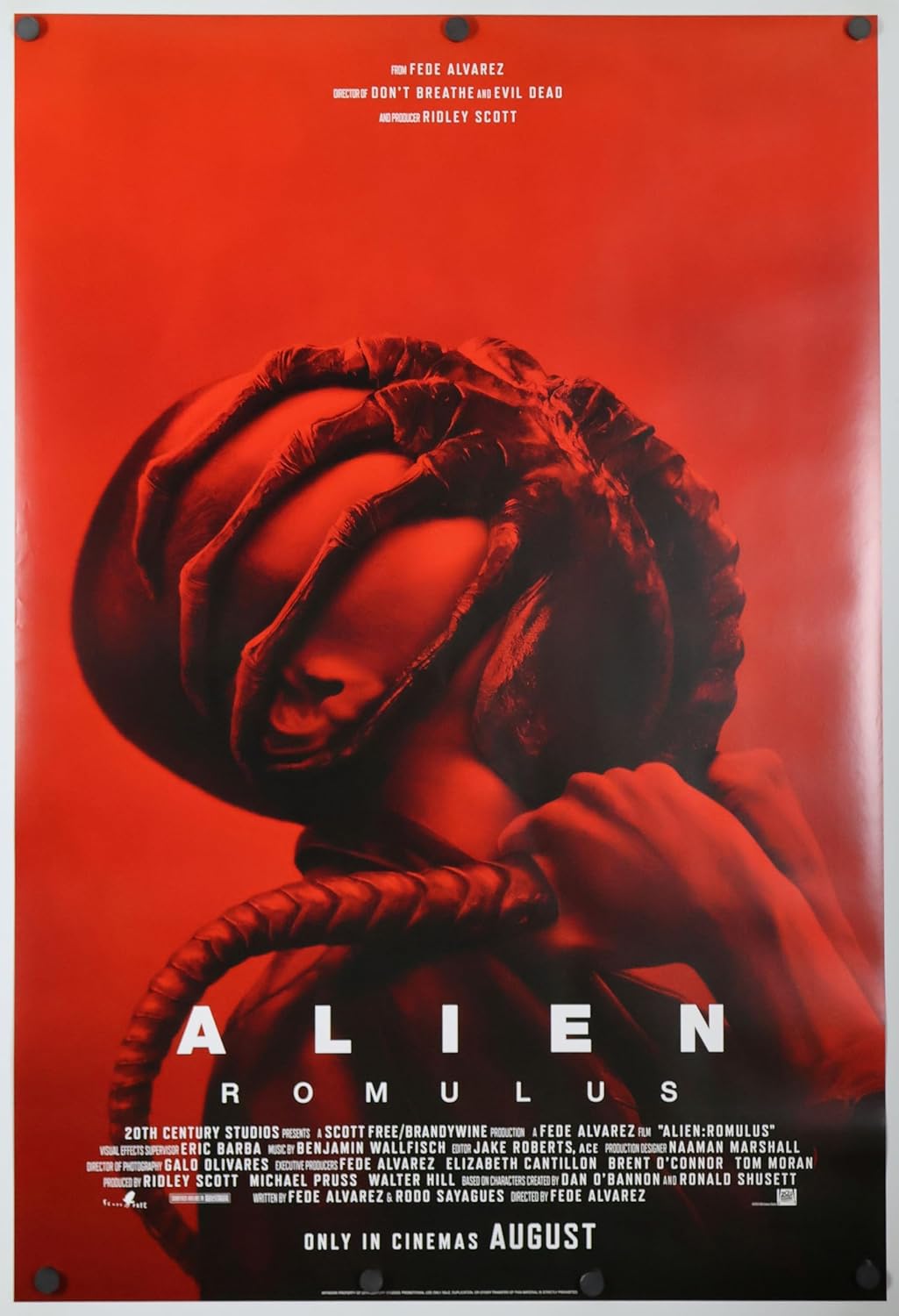 Amazon.com: ALIEN ROMULUS MOVIE POSTER 2 Sided ORIGINAL 27x40 2024 Final: Posters & Prints