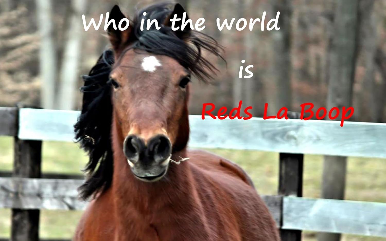 Who in the world is Reds La Boop! - Kindle edition by Brunson, Patrick ...