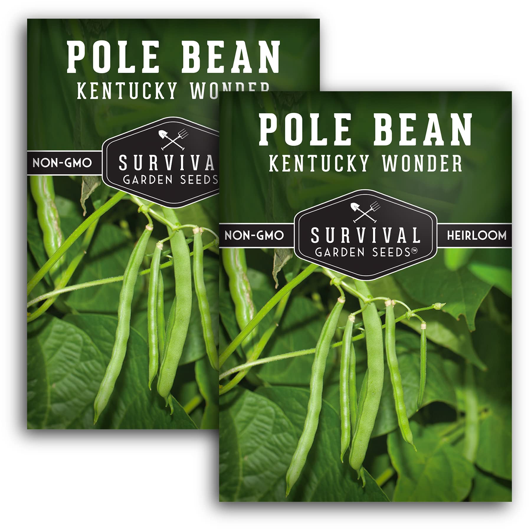 Amazon.com : Survival Garden Seeds - Kentucky Wonder Pole Bean Seed for ...