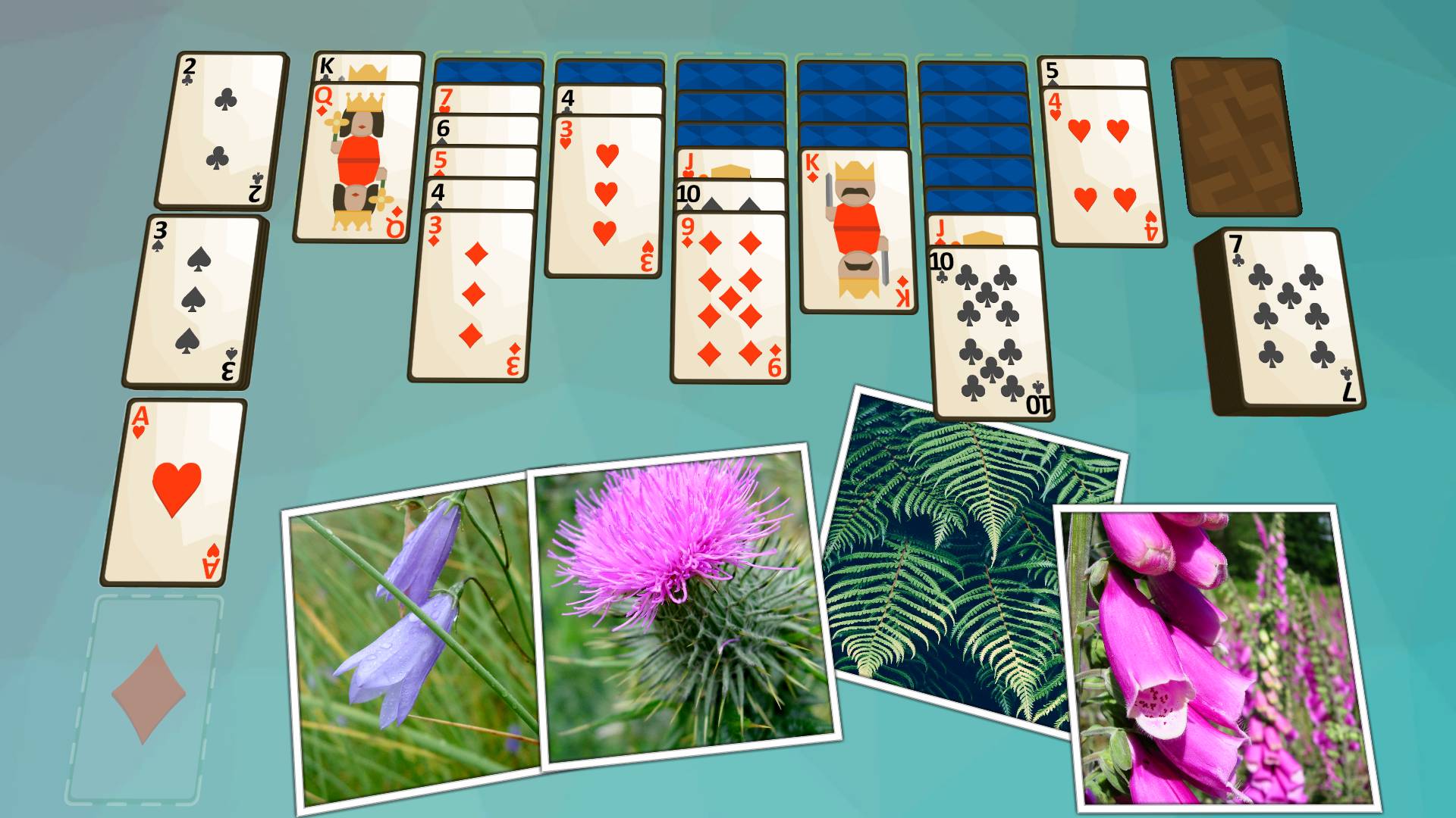 Solitaire Plants TV - App on Amazon Appstore