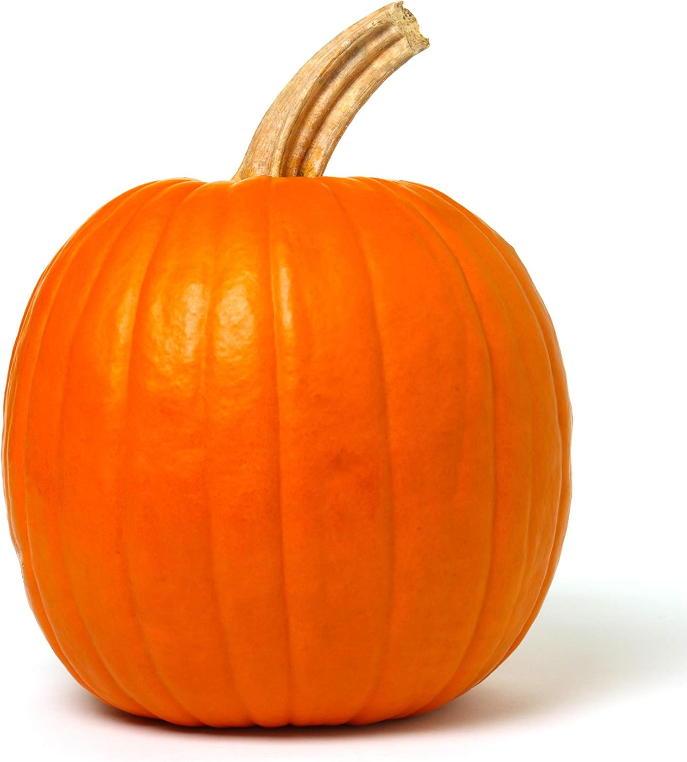Amazon.com : Autumn Gold Hybrid - Pumpkin Seeds, Non-GMO : Pumpkin ...