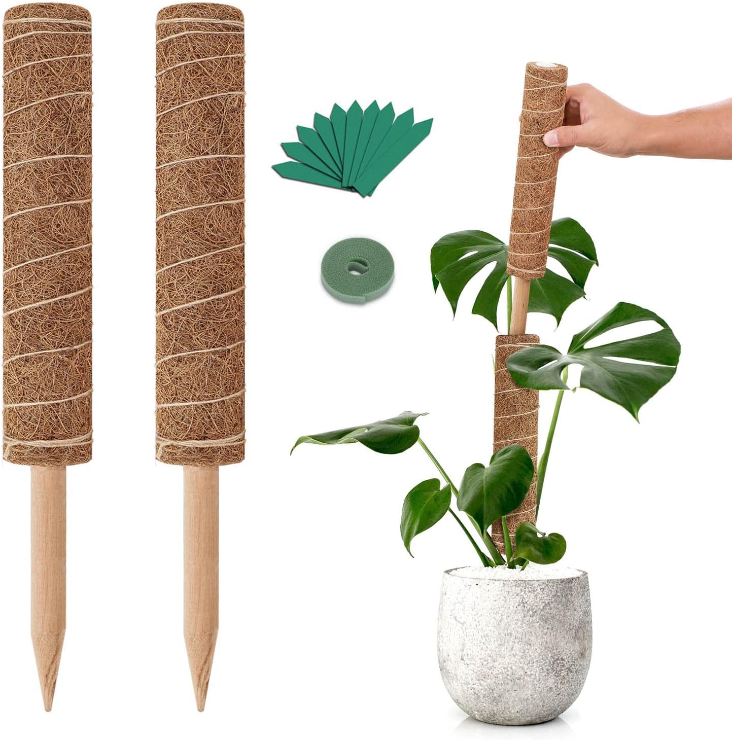 Amazon.com : 2 Pack 21 Inch Moss Poles, Stackable Moss Pole for Plants Monstera, 37 Inch Tall ...