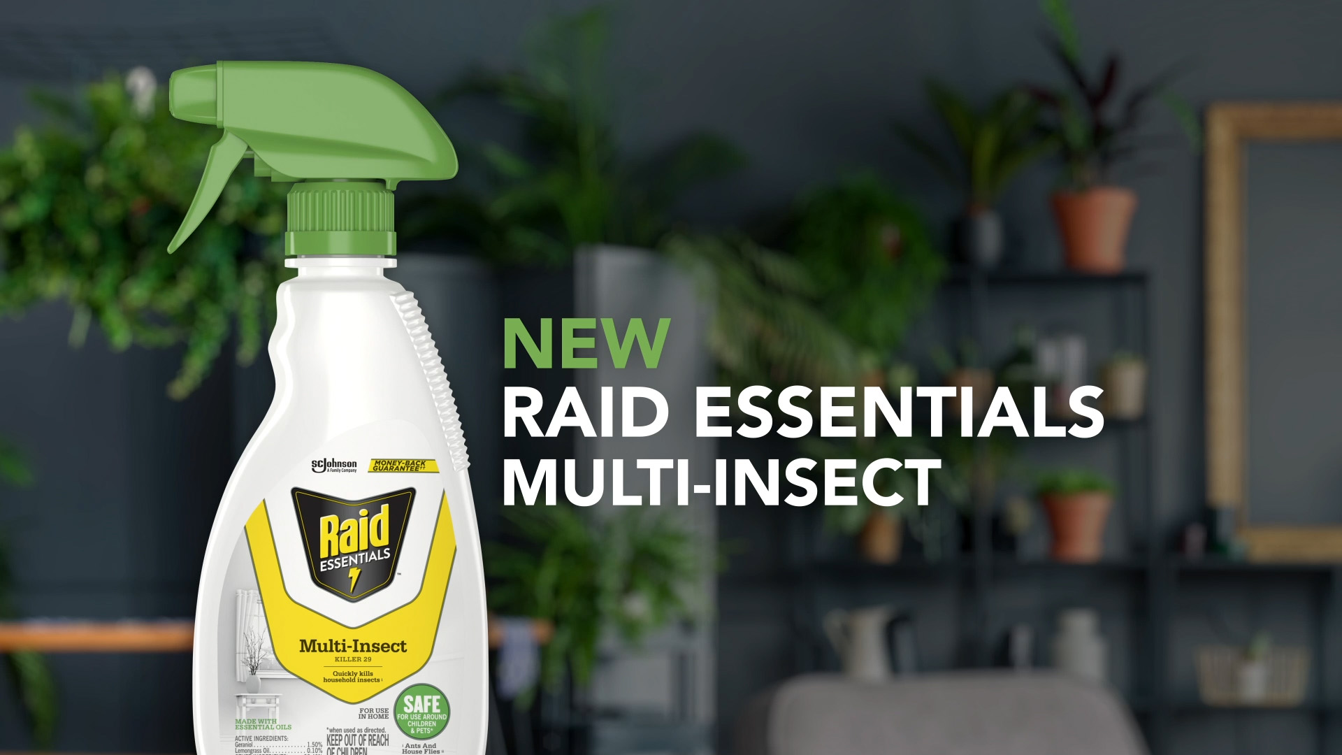 Watch Raid Essentials Multi-Insect on Amazon Live