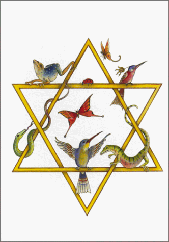 Blessed Star (Chanukah Cards): Amazon.com: Books