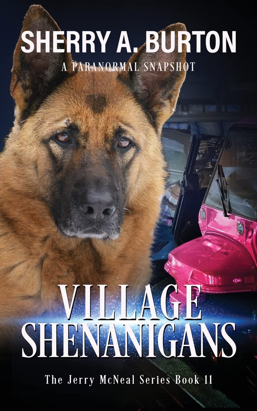 Amazon.com: Village Shenanigans: Book 11 in the Jerry McNeal series (A Paranormal Snapshot ...