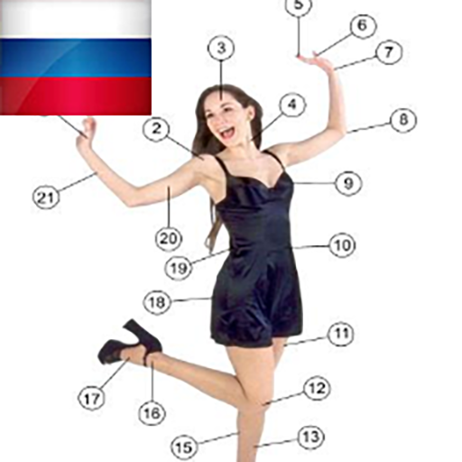 Russian Words Teacher - Learn Body Parts:Amazon.com:Appstore for Android