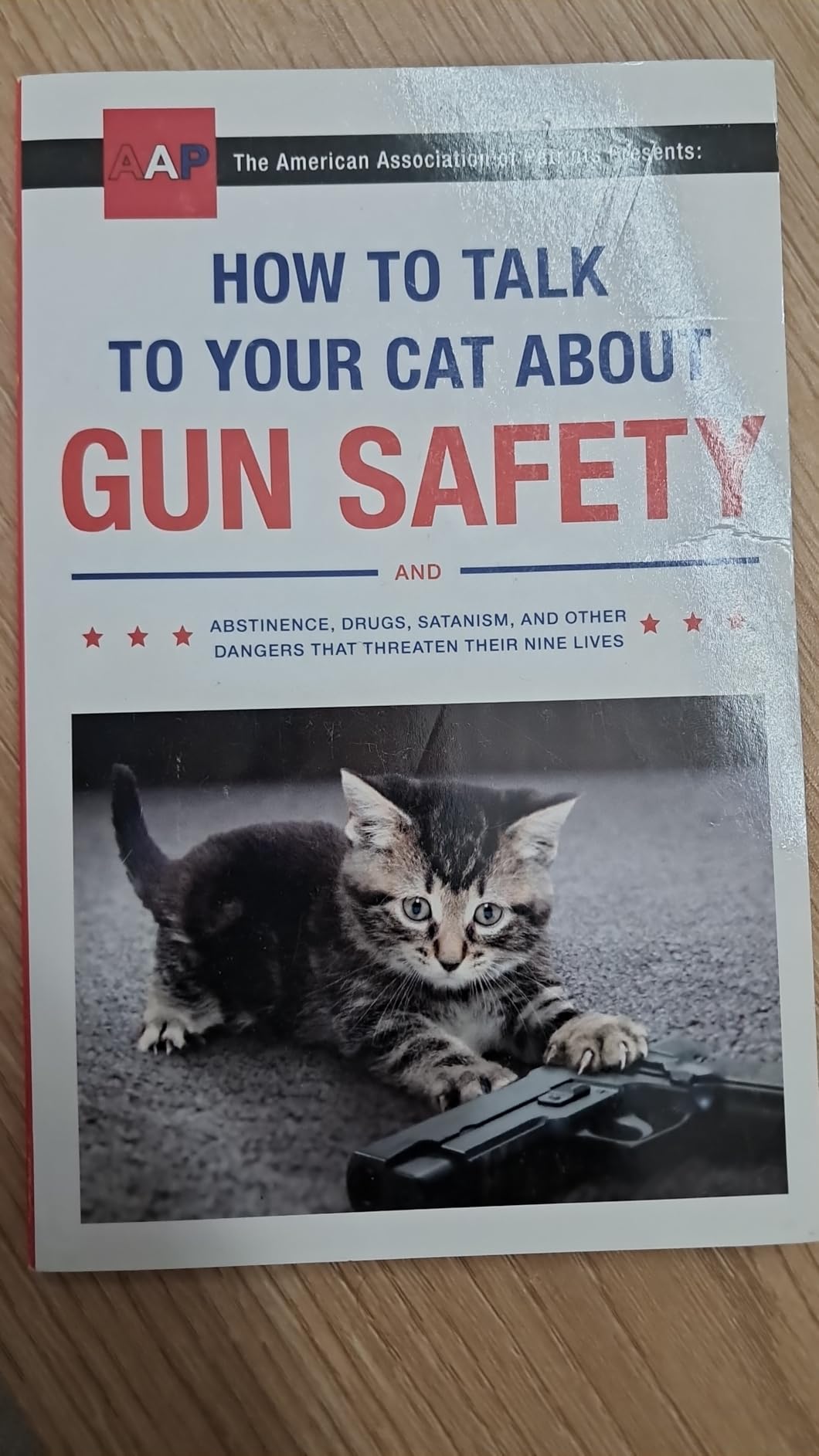 Buy HOW TO TALK TO YOUR CAT ABOUT GUN SAFETY Book Online at Low Prices ...