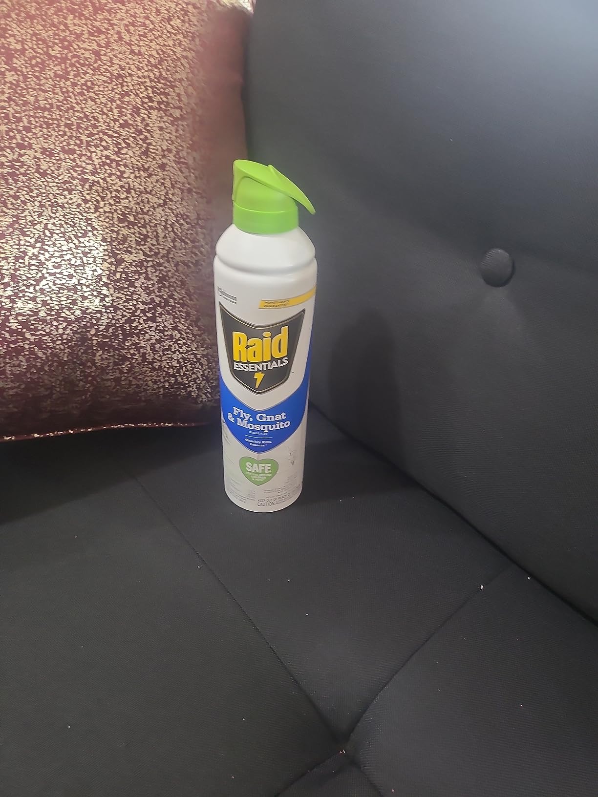 Amazon.com: Raid Essentials Fly, Gnat, and Mosquito Killer Aerosol ...