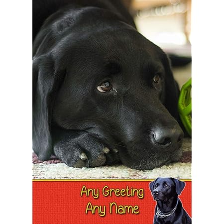 Personalised Black Labrador Dog Greeting Card (Birthday, Christmas, Any ...