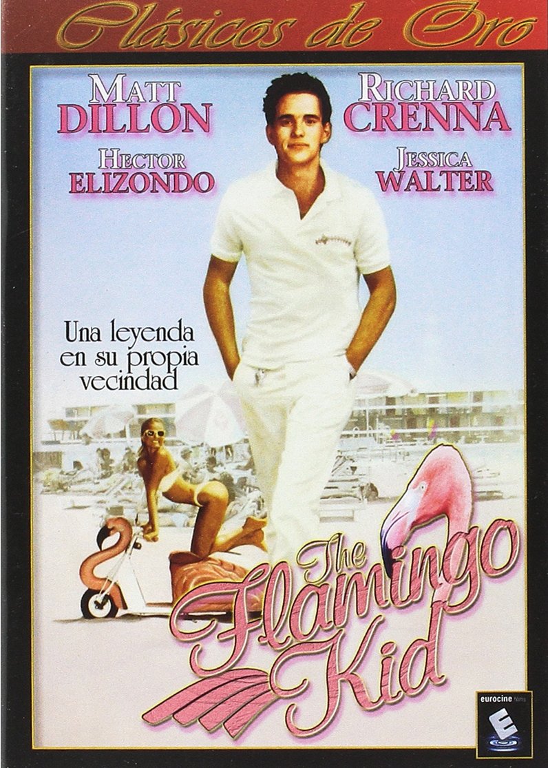 The Flamingo Kid [DVD]: Amazon.es: Matt Dillon:Richard Crenna, Garry ...