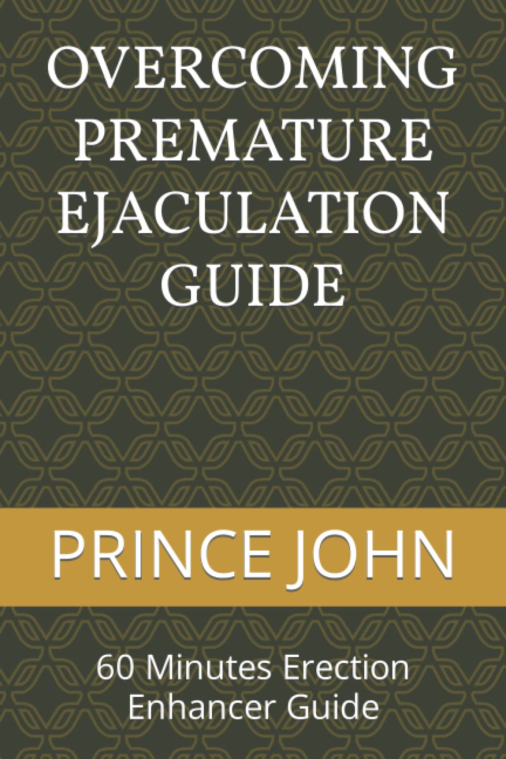 OVERCOMING PREMATURE EJACULATION GUIDE: 60 Minutes Erection Enhancer ...