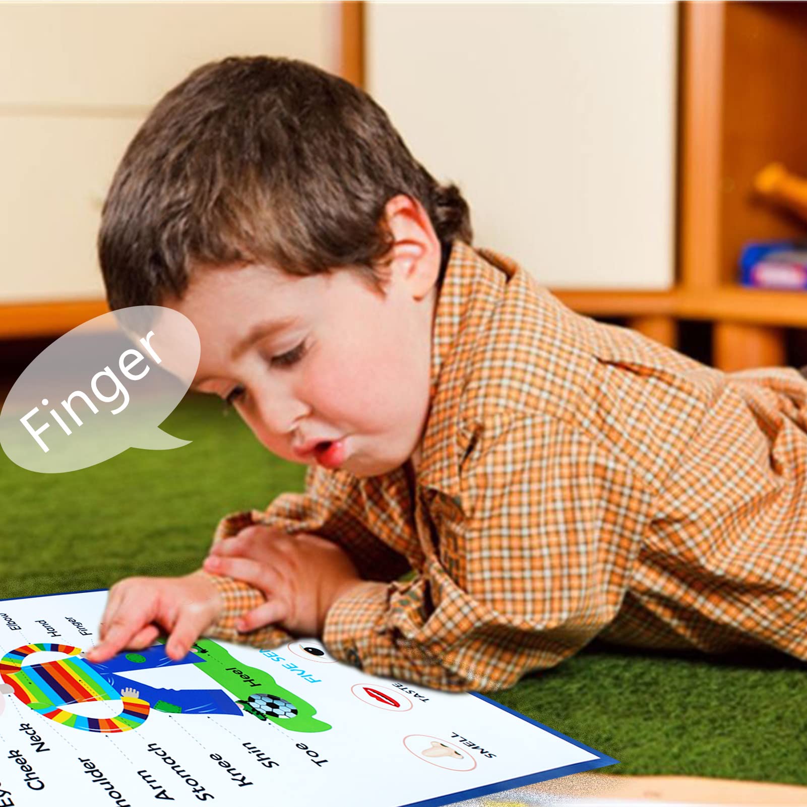 Buy 3 Pieces Educational Poster Laminated Wall Learning Chart Number ...