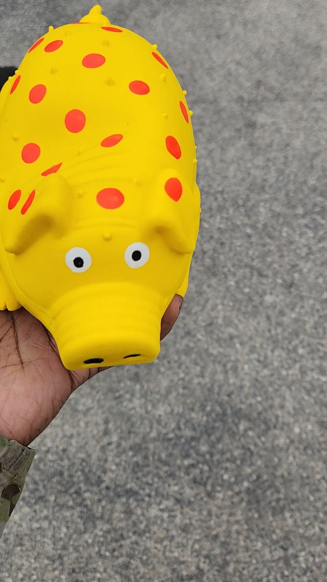 Watch This Multipet Dog Toy Has Become My Dog New Favorite Toy! on ...