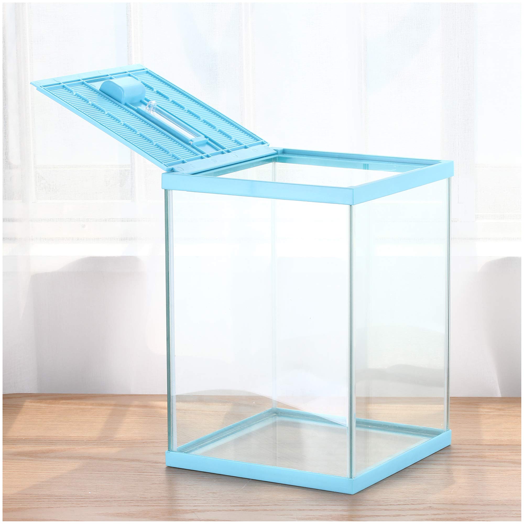 Buy crapelles Small Vertical Insect GlassTerrarium, Reptile Tank, for ...