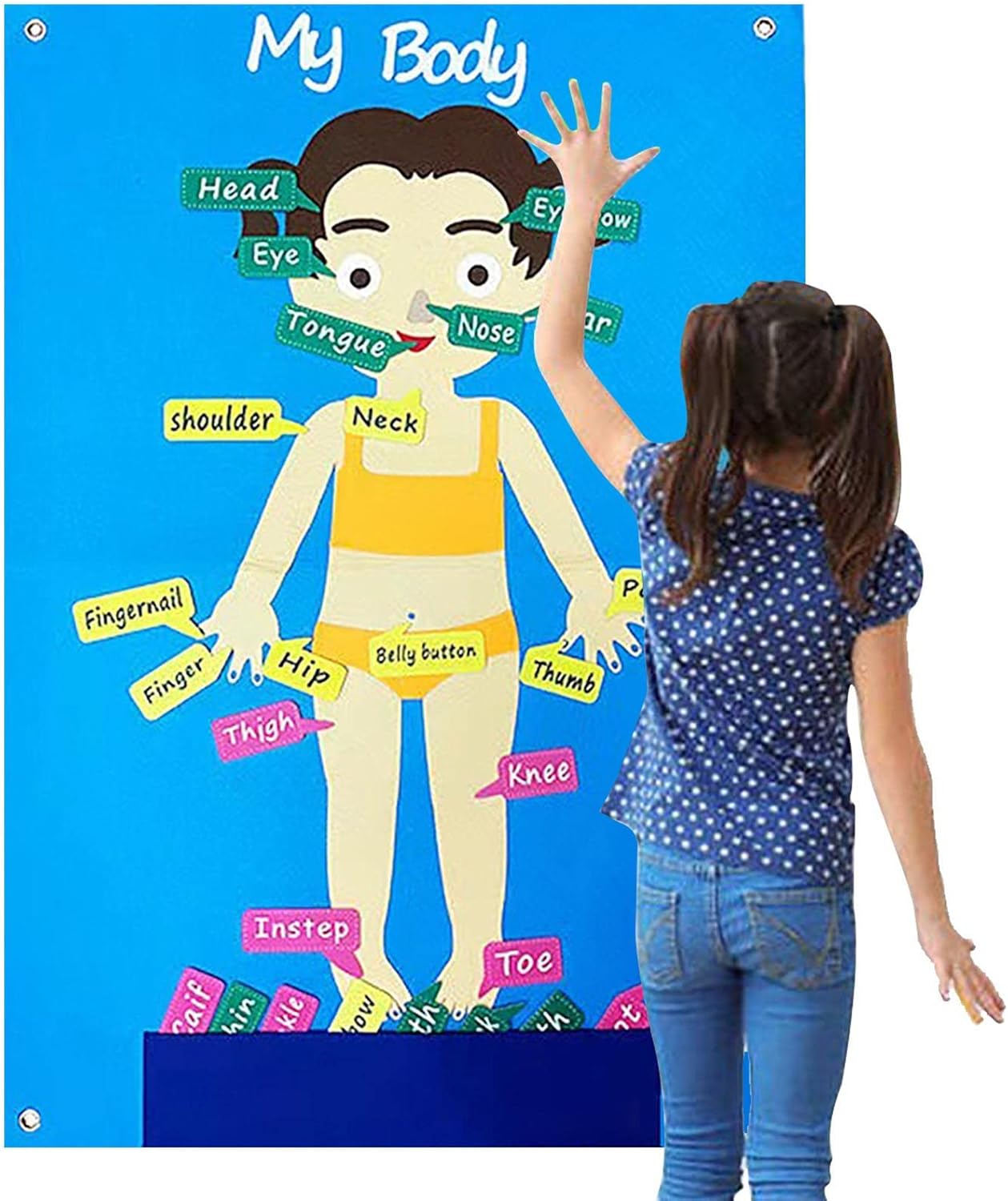 Facynde Felt Board for Kids - Body Parts Structure Puzzles ...