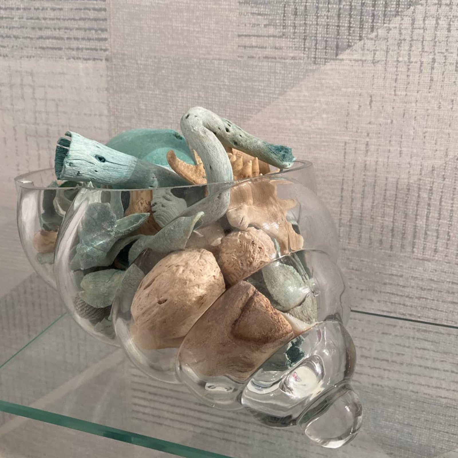 TOPZEA Glass Shell Vase, 11 Inch Clear Potpourri Holder Seashell ...