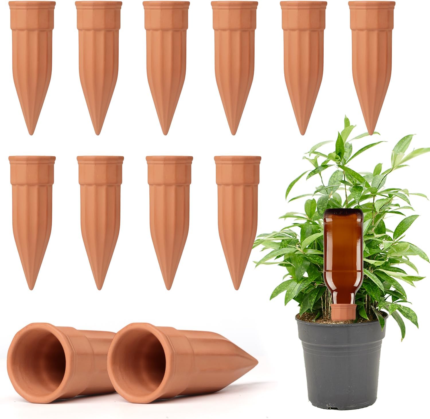 Amazon.com: Reifier 6-Pack Natural Self Watering Spikes - Terracotta ...