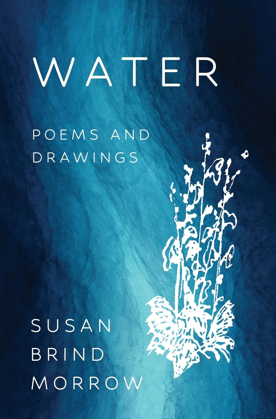 Water: Poems and Drawings (Sowell Collection Books): Morrow, Susan Brind: 9781682831830: Amazon ...