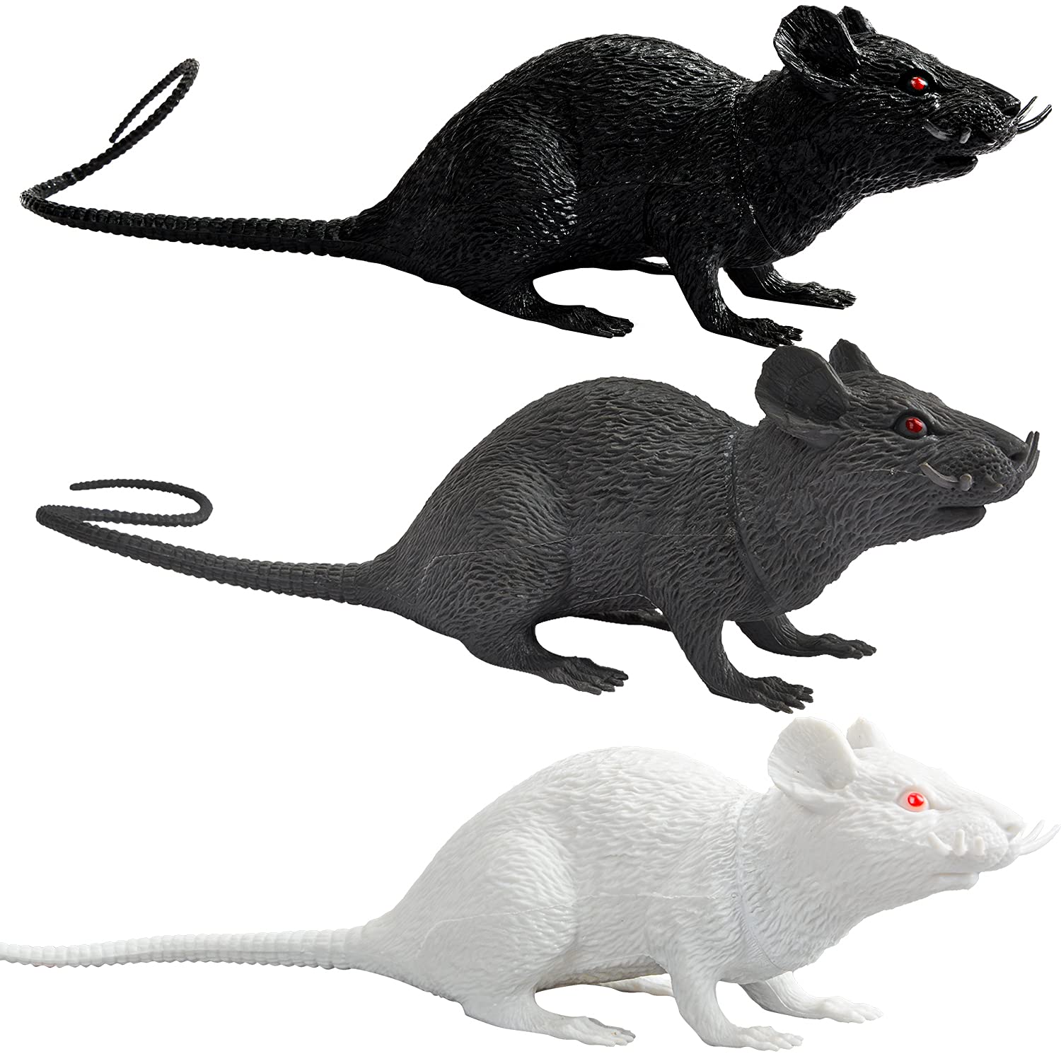 Black And White Rats