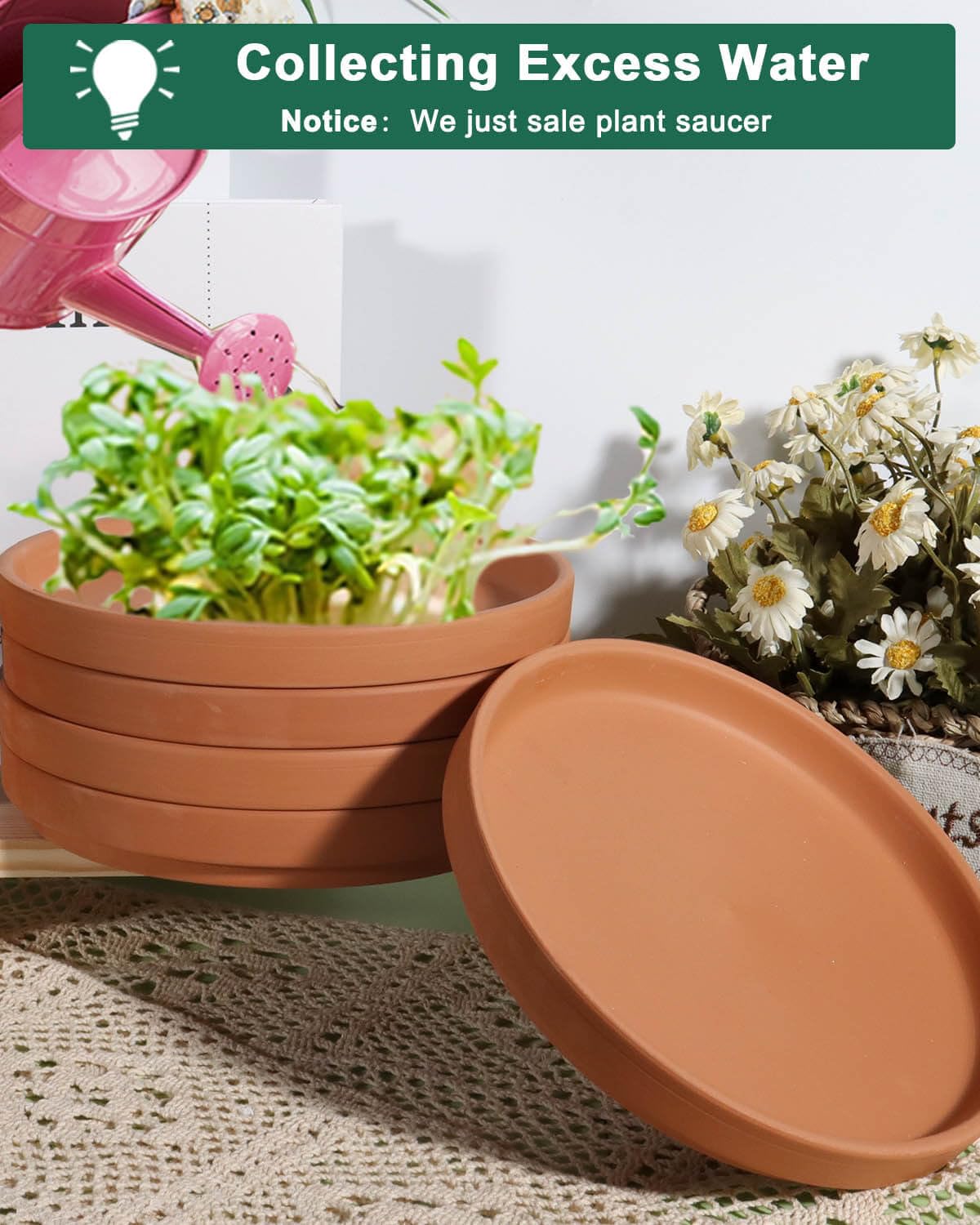 Large Plant Pot Saucers