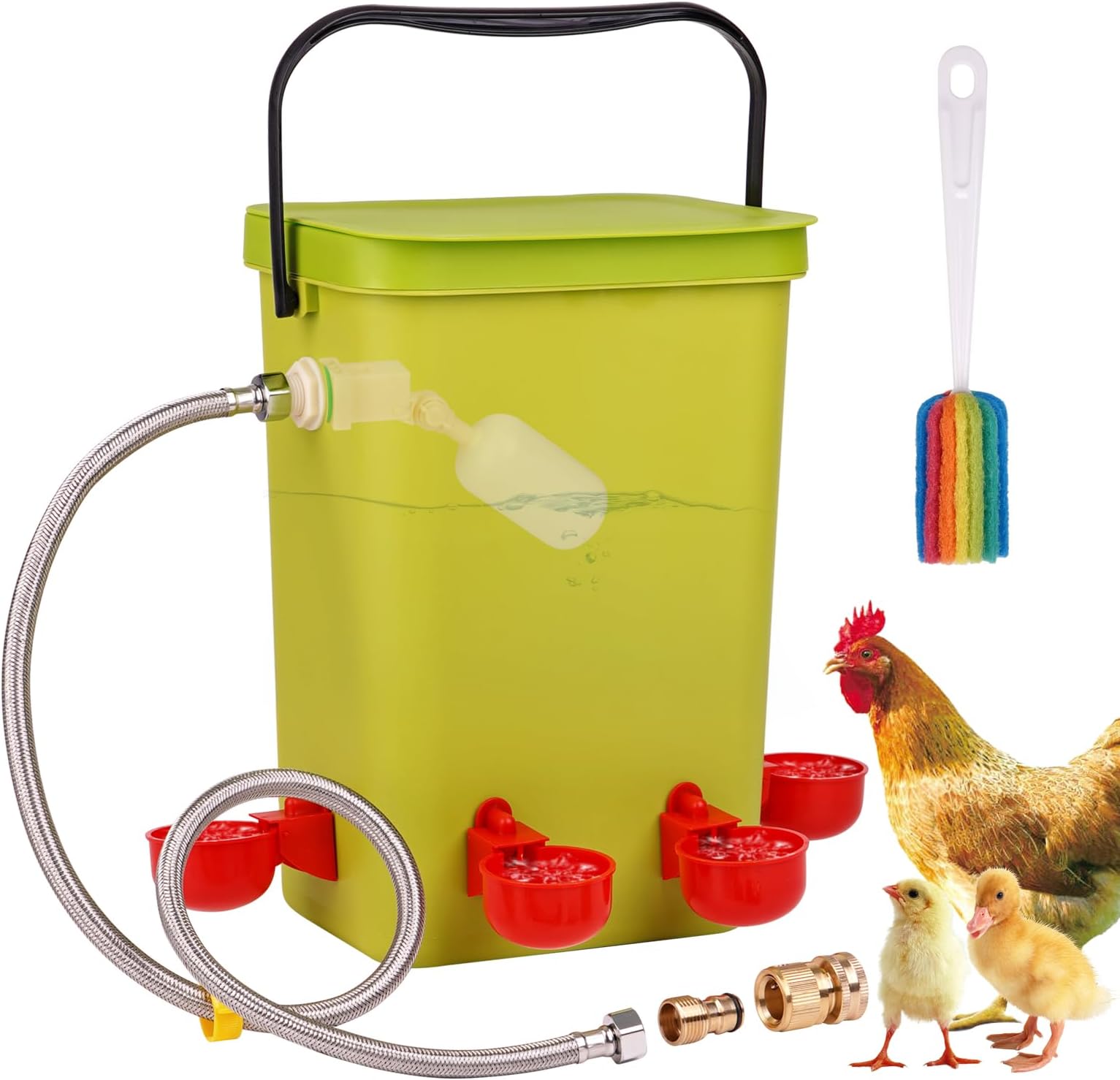 Amazon.com: Lilyang Float-Controlled Automatic Chicken Waterer for ...