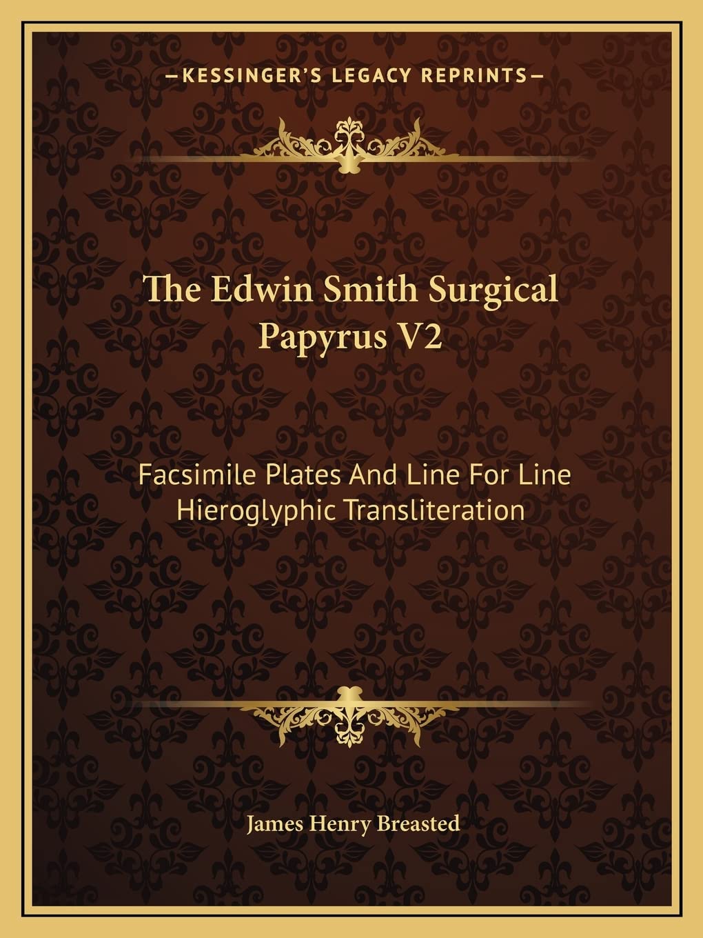 The Edwin Smith Surgical Papyrus V2: Facsimile Plates And Line For Line ...