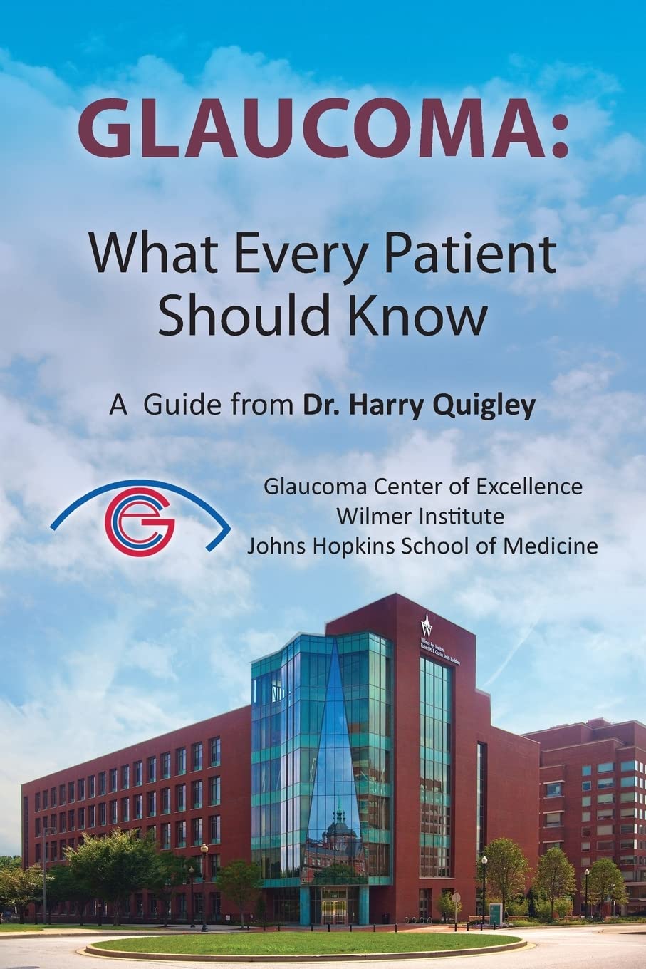Glaucoma: What Every Patient Should Know: A Guide from Dr. Harry ...