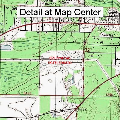 Amazon.com : USGS Topographic Quadrangle Map - Blountstown, Florida ...
