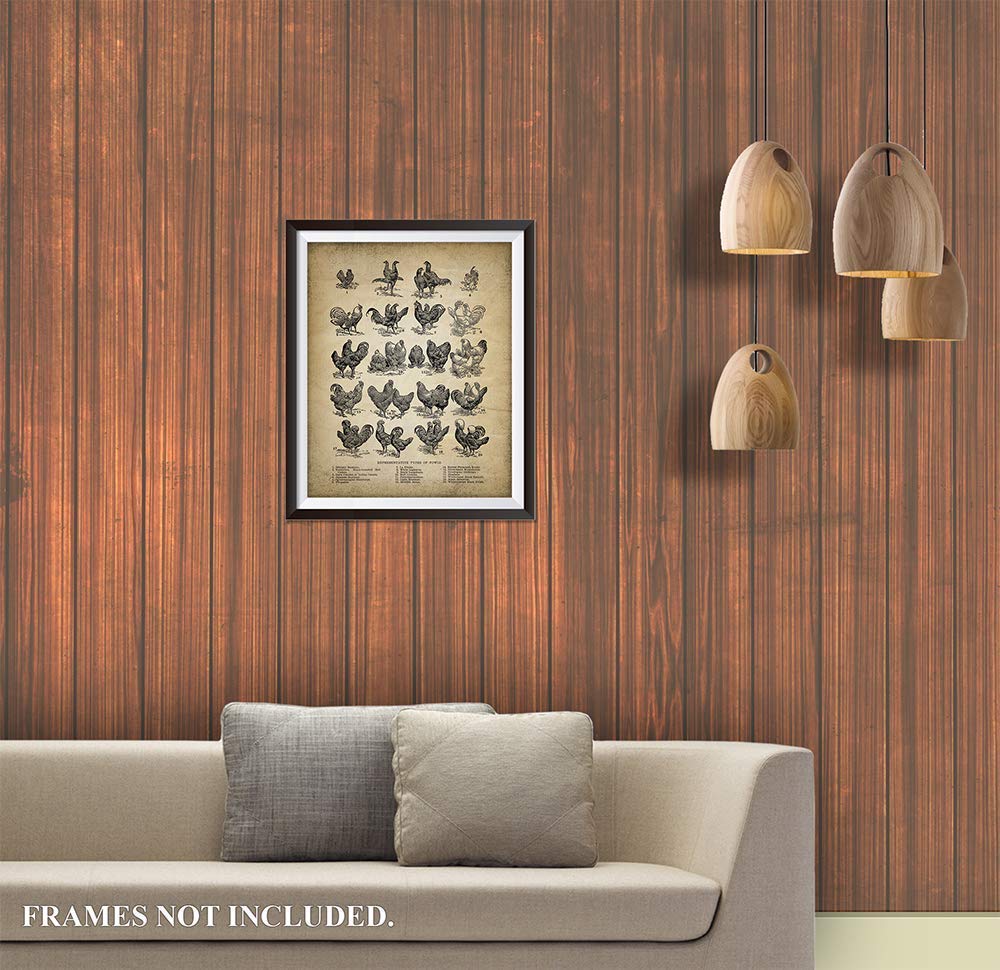 Snapklik.com : Vintage Farm Animal Print - Types Of Fowl Farmhouse ...