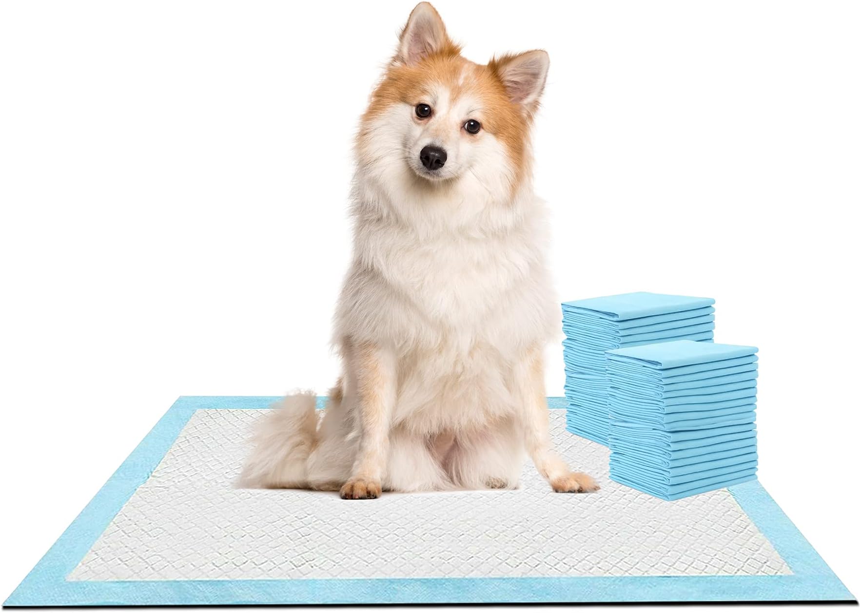 Petsentials Leakproof, Quick Dry, Dog/Puppy Disposable Training Pads ...