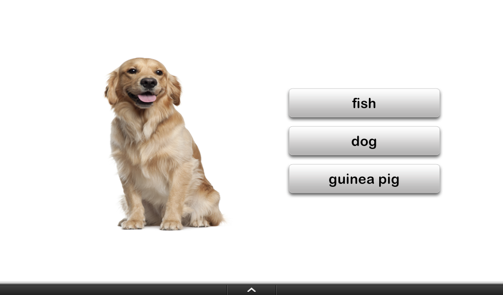 Autism iHelp – Animals - App on the Amazon Appstore