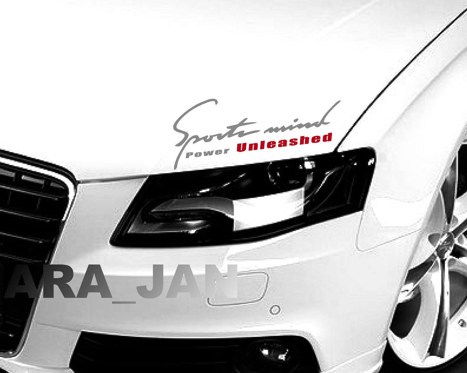 Amazon.com: SPORTS MIND UNLEASHED CAR RACING DECAL STICKER LOGO EMBLEM ...