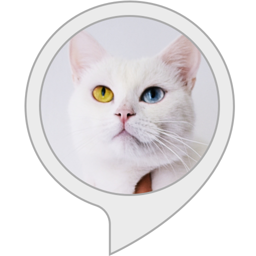 Amazon.com: Random vine : Alexa Skills