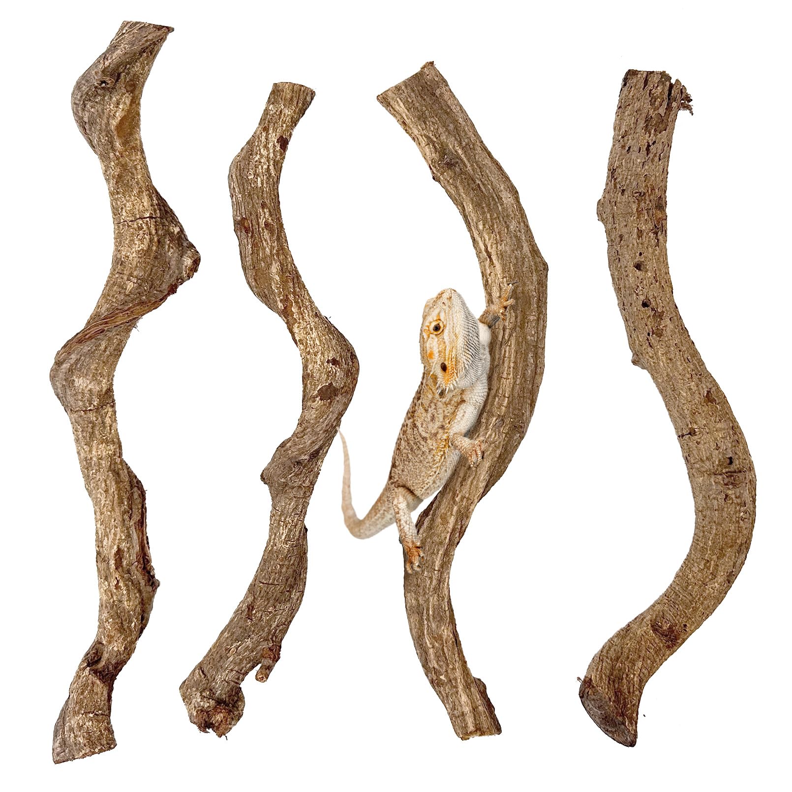 Snapklik.com : Apatal Reptile Climbing Branch Decor Wood Snake ...