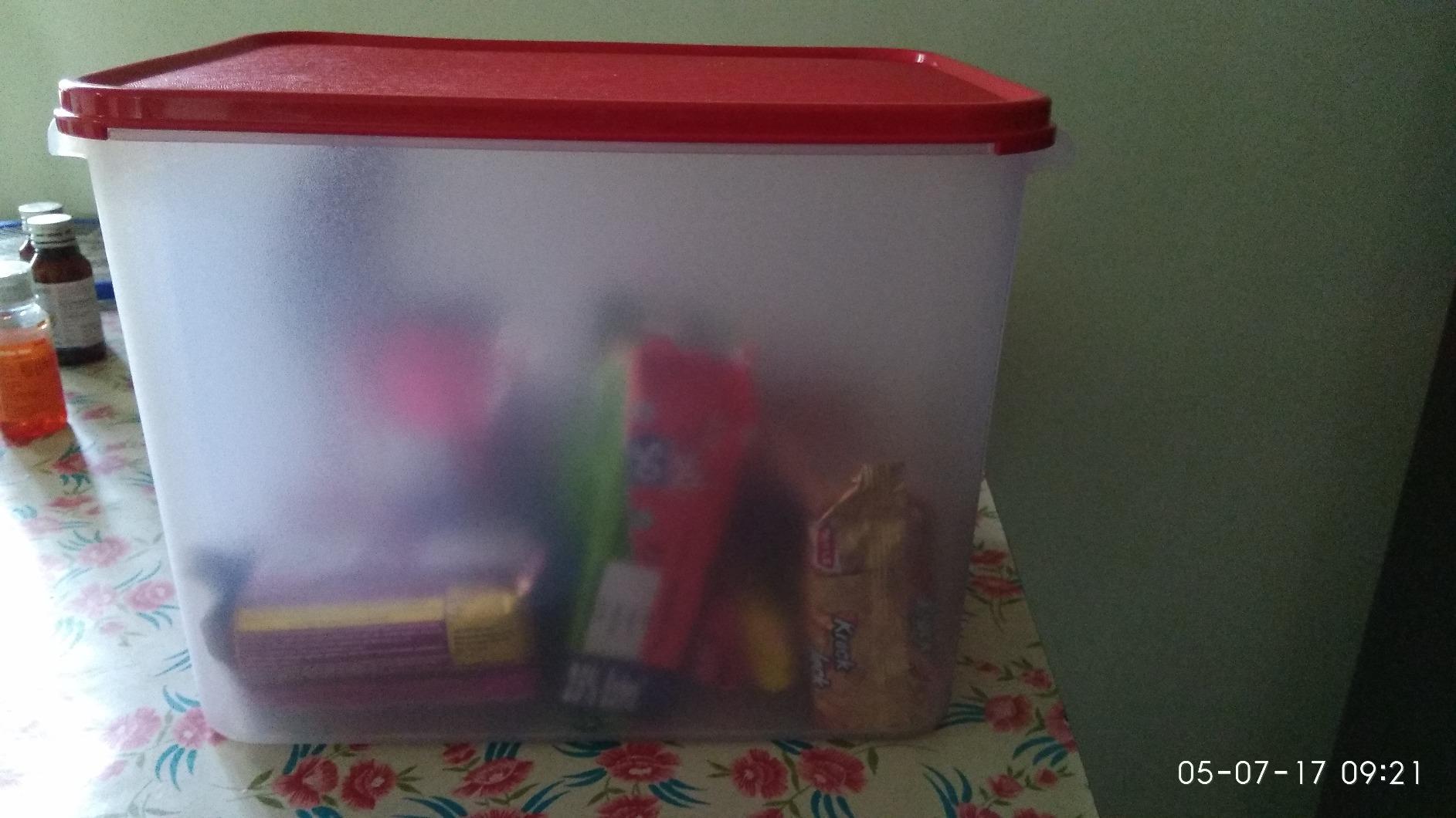 Buy Tupperware Store It All Plastic Container, 12 litres, White Online ...