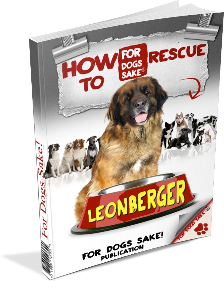 The Truth Behind Rescue Leonbergers - Kindle edition by James, Laura ...