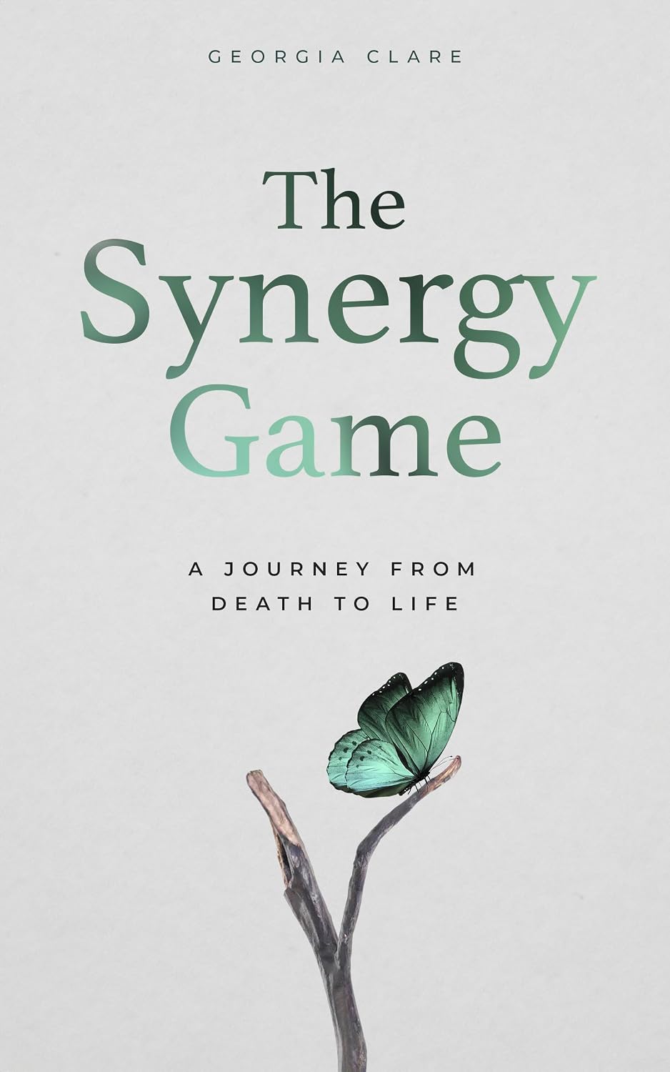 Amazon.com: The Synergy Game: A Journey from death to life, of ...