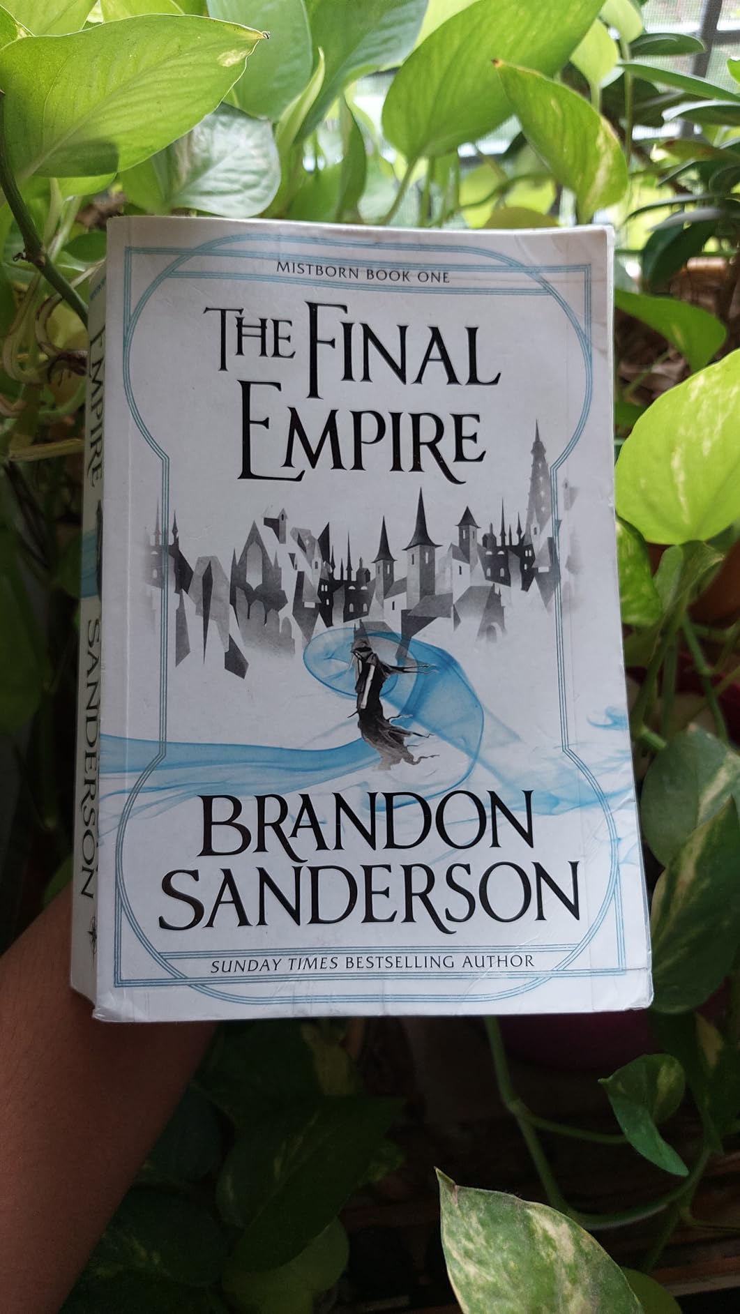 Buy Mistborn: The Final Empire (Mistborn, 1) Book Online at Low Prices ...