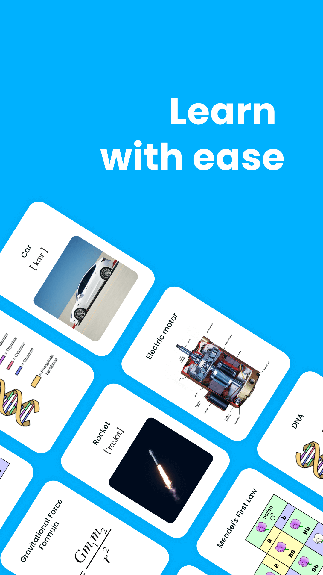 Fleengo Flashcards & Quizzes - App on Amazon Appstore