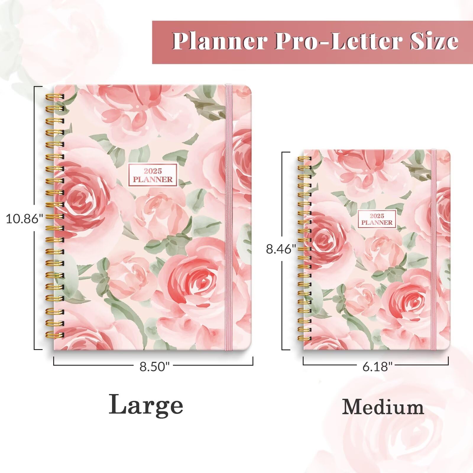 Snapklik.com : 2025 Planner 8.5 X 11, Large 12 Month Calendars For ...