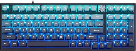 Amazon.com: MOLGRIA SKYLOONG GK980 Blue Backlit Gaming Keyboard with ...
