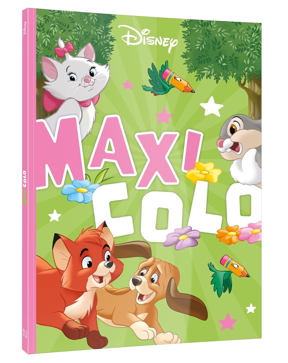 DISNEY - Maxi Colo - Printemps: Amazon.co.uk: Disney: 9782017198895: Books