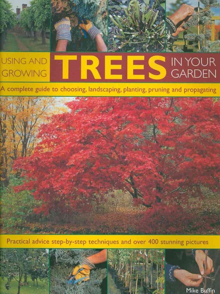 Using and Growing Trees in Your Garden: A complete guide to choosing ...