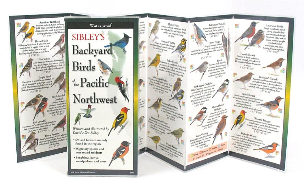Snapklik.com : Sibleys Back Birds Of Pacific Northwest