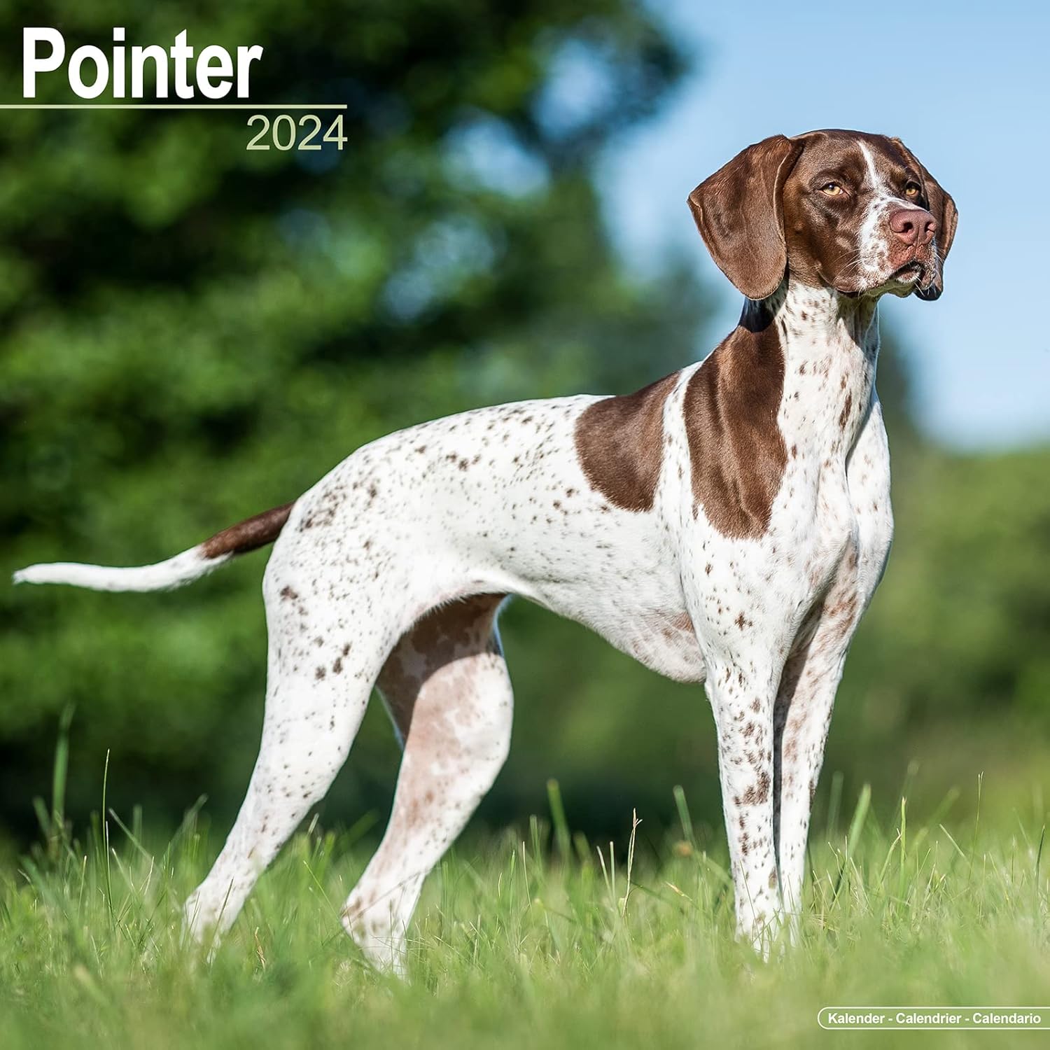 English Pointer Calendar - Dog Breed Calendars - 2023 - 2024 wall ...